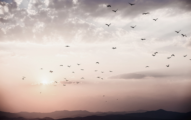 Fixed Term Deposits & Interest Rates | BOQ Specialist